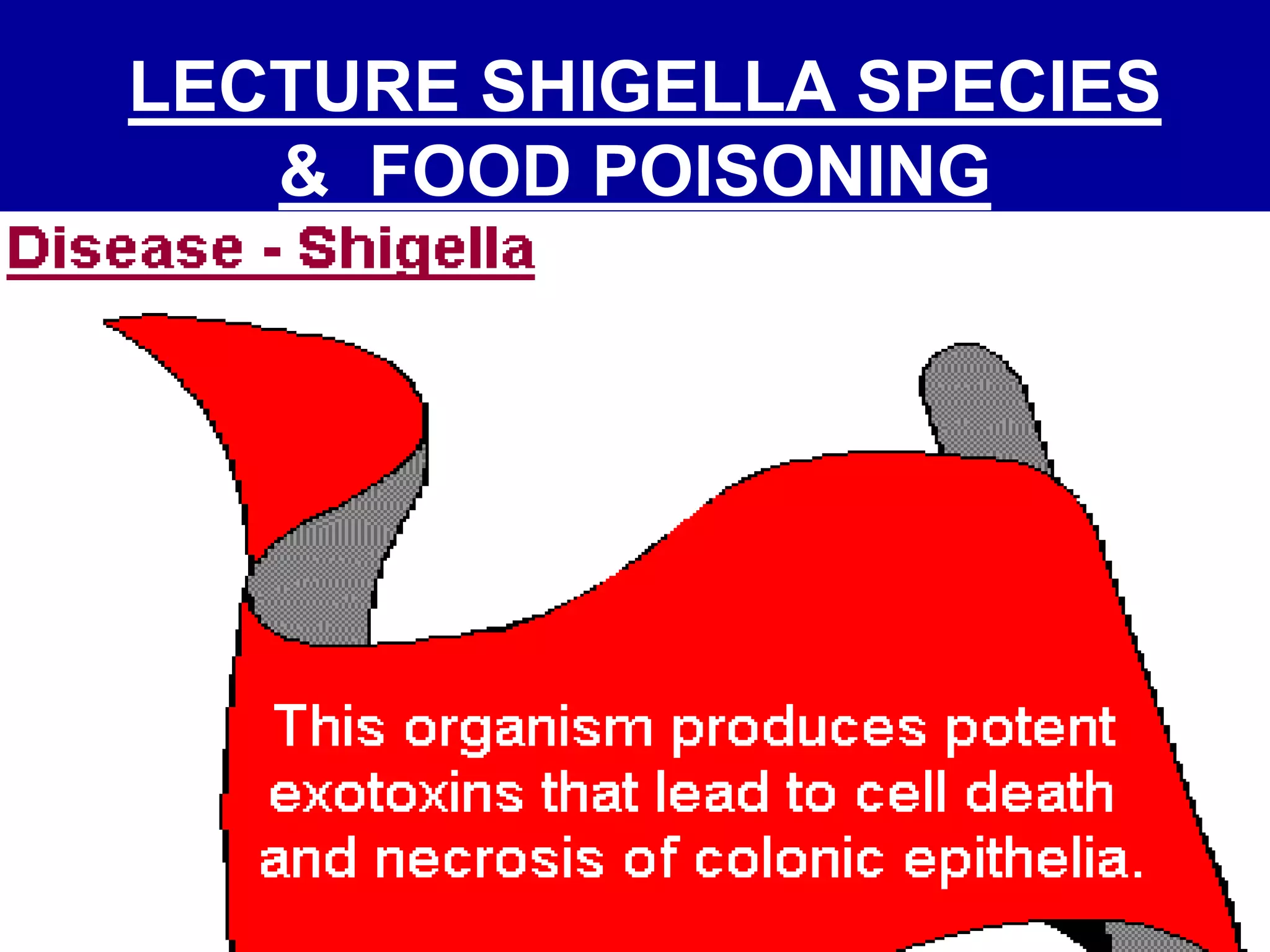 Shigella | PPTX | Infectious Diseases | Diseases and Conditions