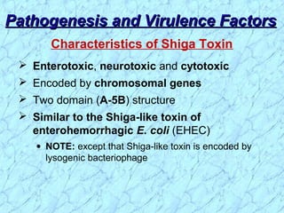 Shigella | PPT