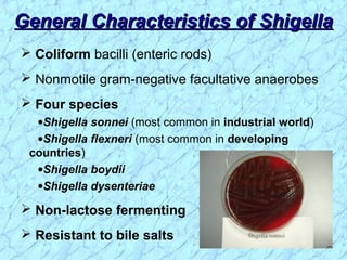 Shigella | PPT