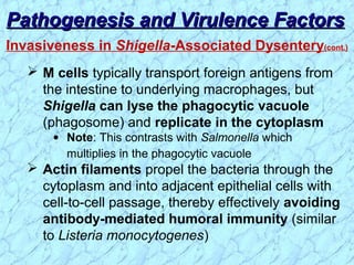 Shigella | PPT