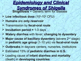 Shigella | PPT