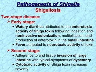 Shigella | PPT