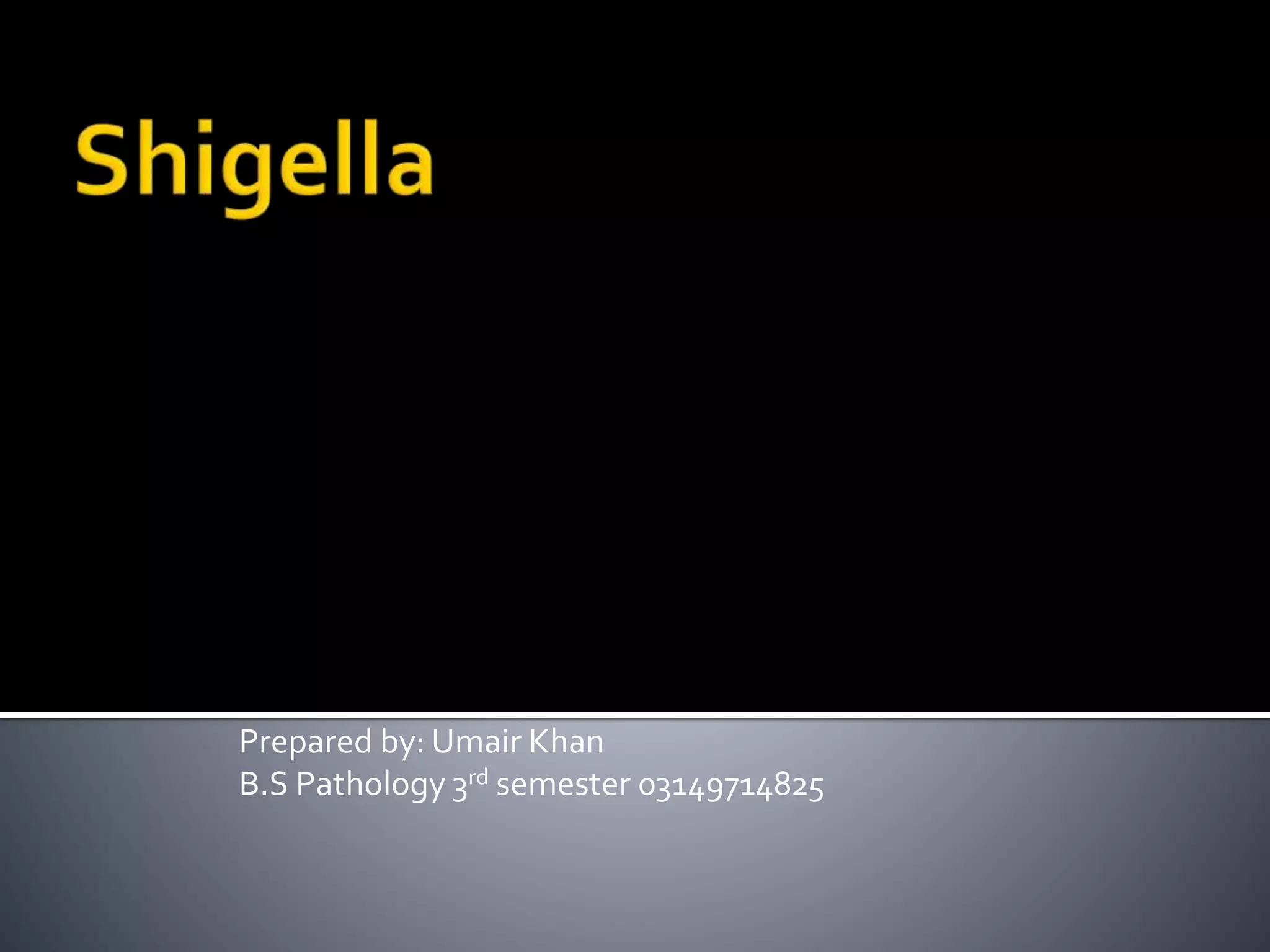 Shigella | PPTX