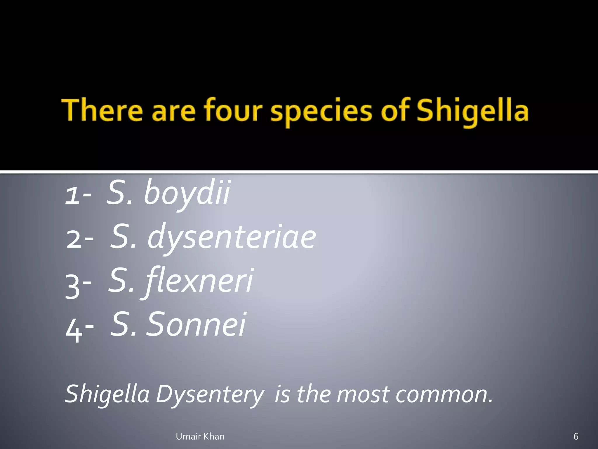 Shigella | PPTX