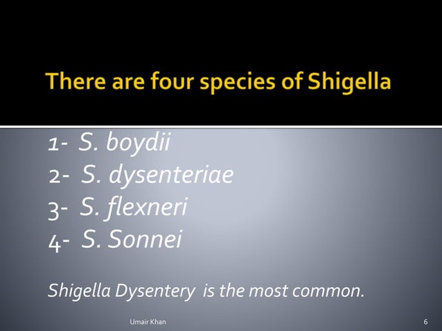 Shigella | PPTX | Infectious Diseases | Diseases and Conditions