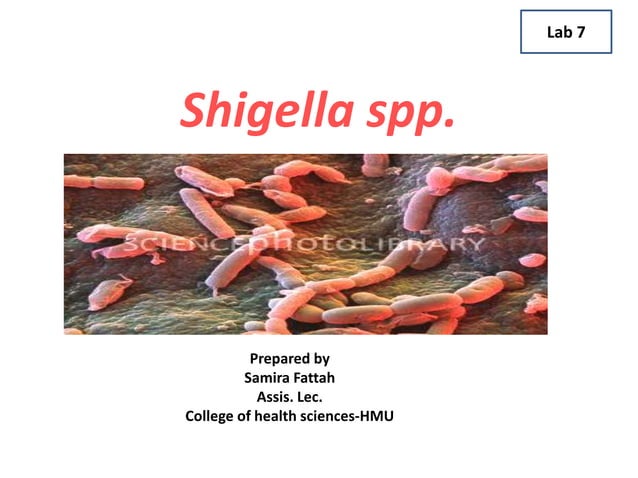 Shigella | PPTX