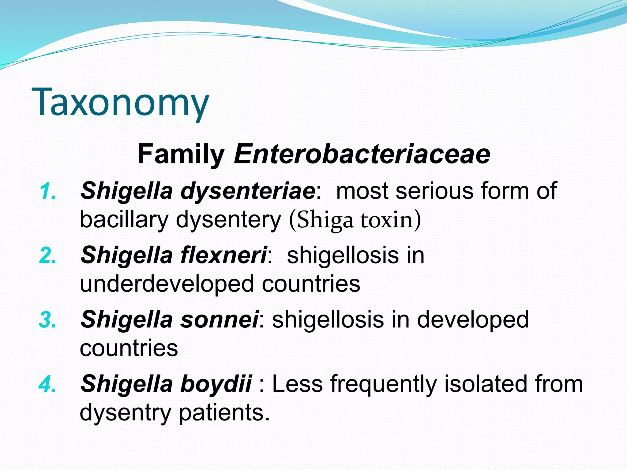 Shigella | PPTX