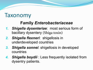 Shigella | PPTX