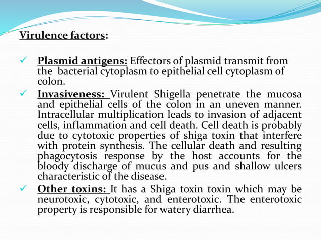 Shigella | PPTX | Chemistry | Science