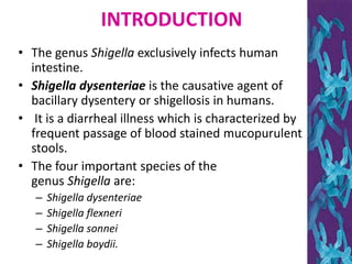 Shigella.ppt