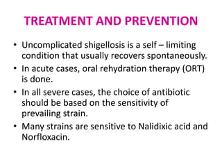 Shigella.ppt