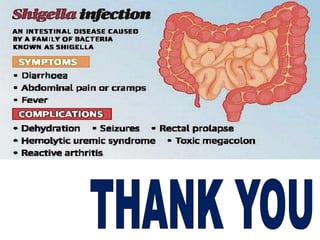 Shigella.ppt