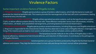 Shigella.pptx