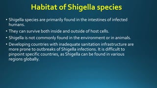 Shigella.pptx