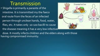 Shigella.pptx