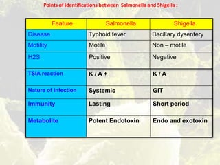 Shigellas | PPTX