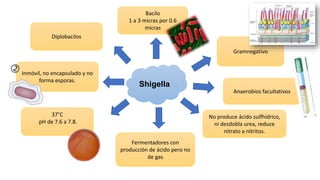 Shigella | PPTX