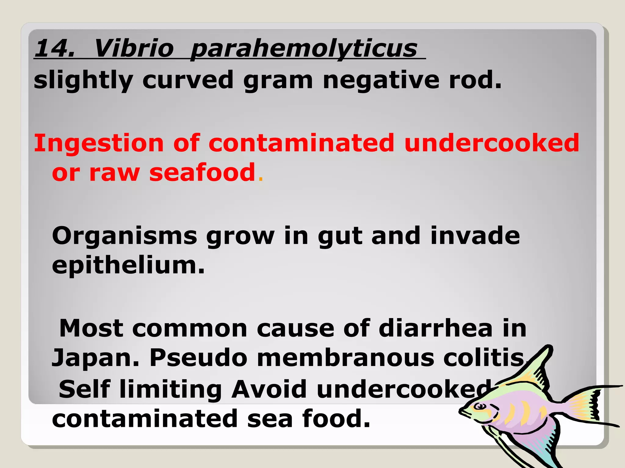 Shigella and food poisoning | PPT
