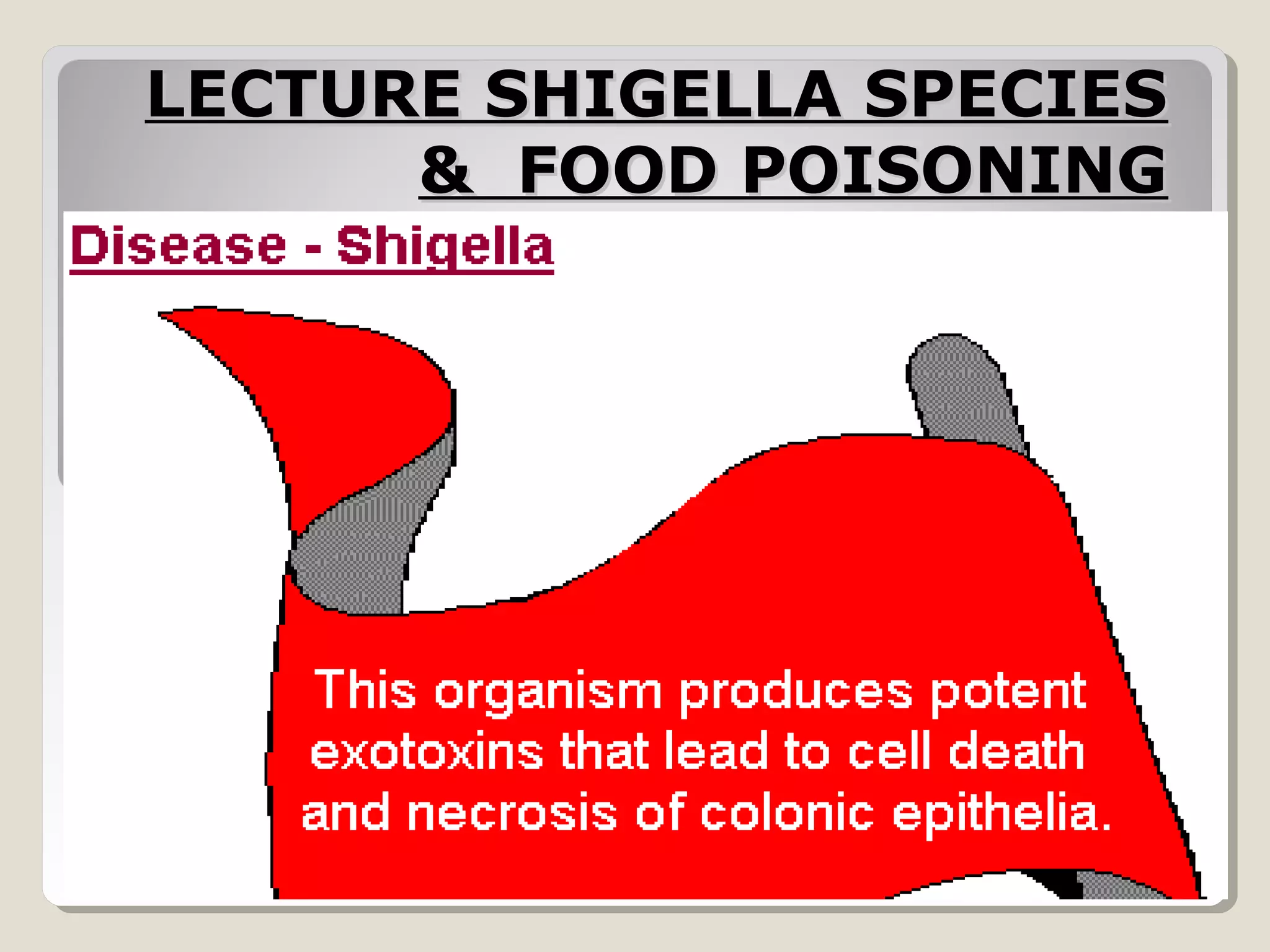 Shigella and Food Poisoning | PPT