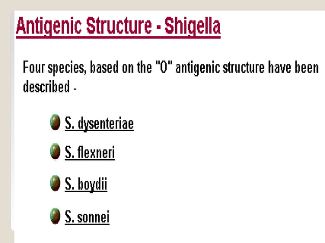 Shigella and Food Poisoning | PPT