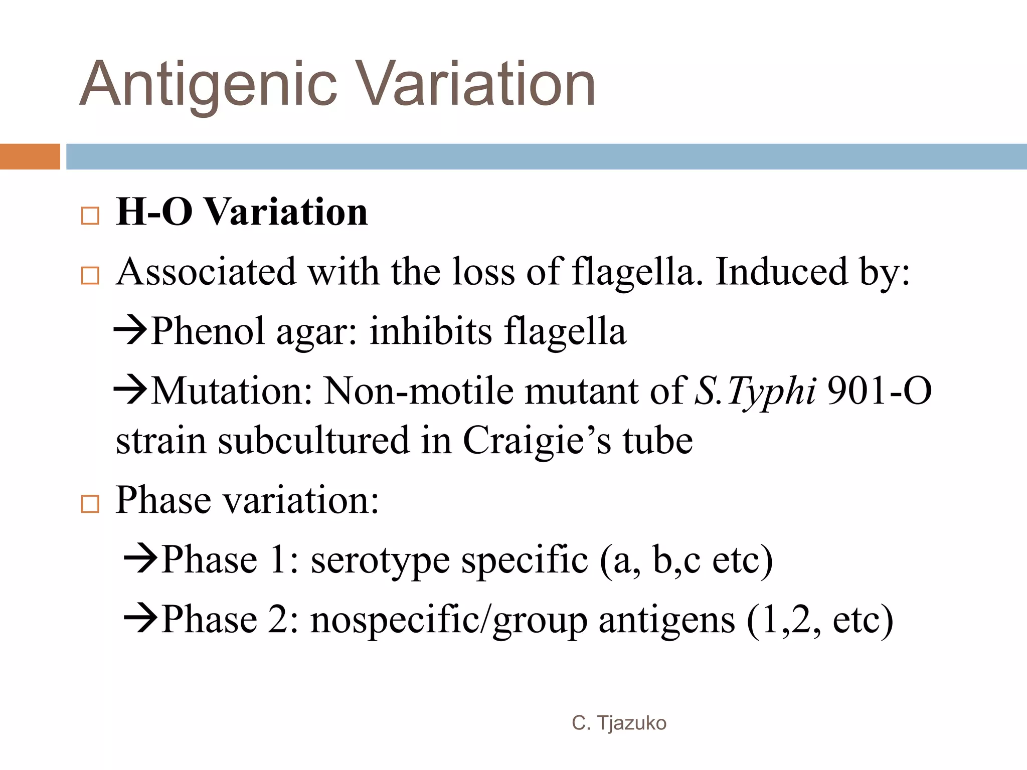 Shigella and Salmonella Lecture | PPTX