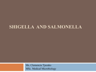 Shigella and Salmonella Lecture | PPTX