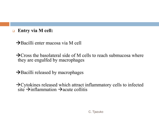 Shigella and Salmonella Lecture | PPTX