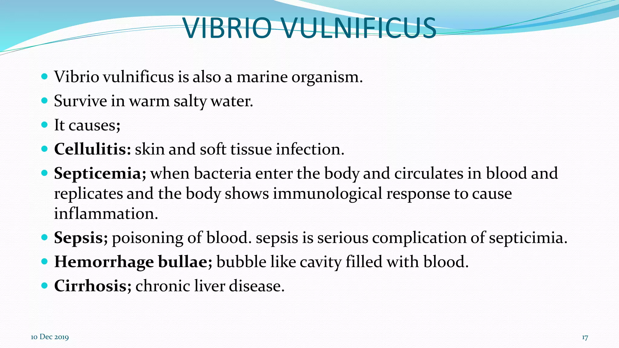 Shigella and vibrio bacteria | PPTX