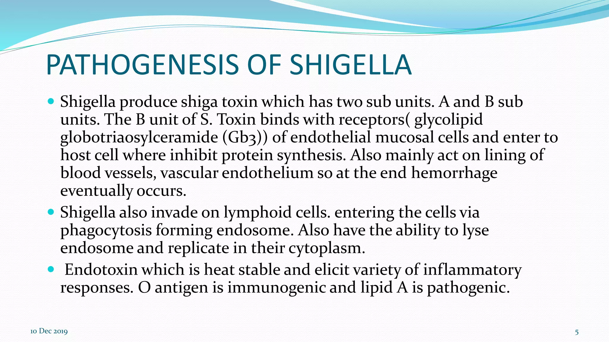 Shigella and vibrio bacteria | PPTX