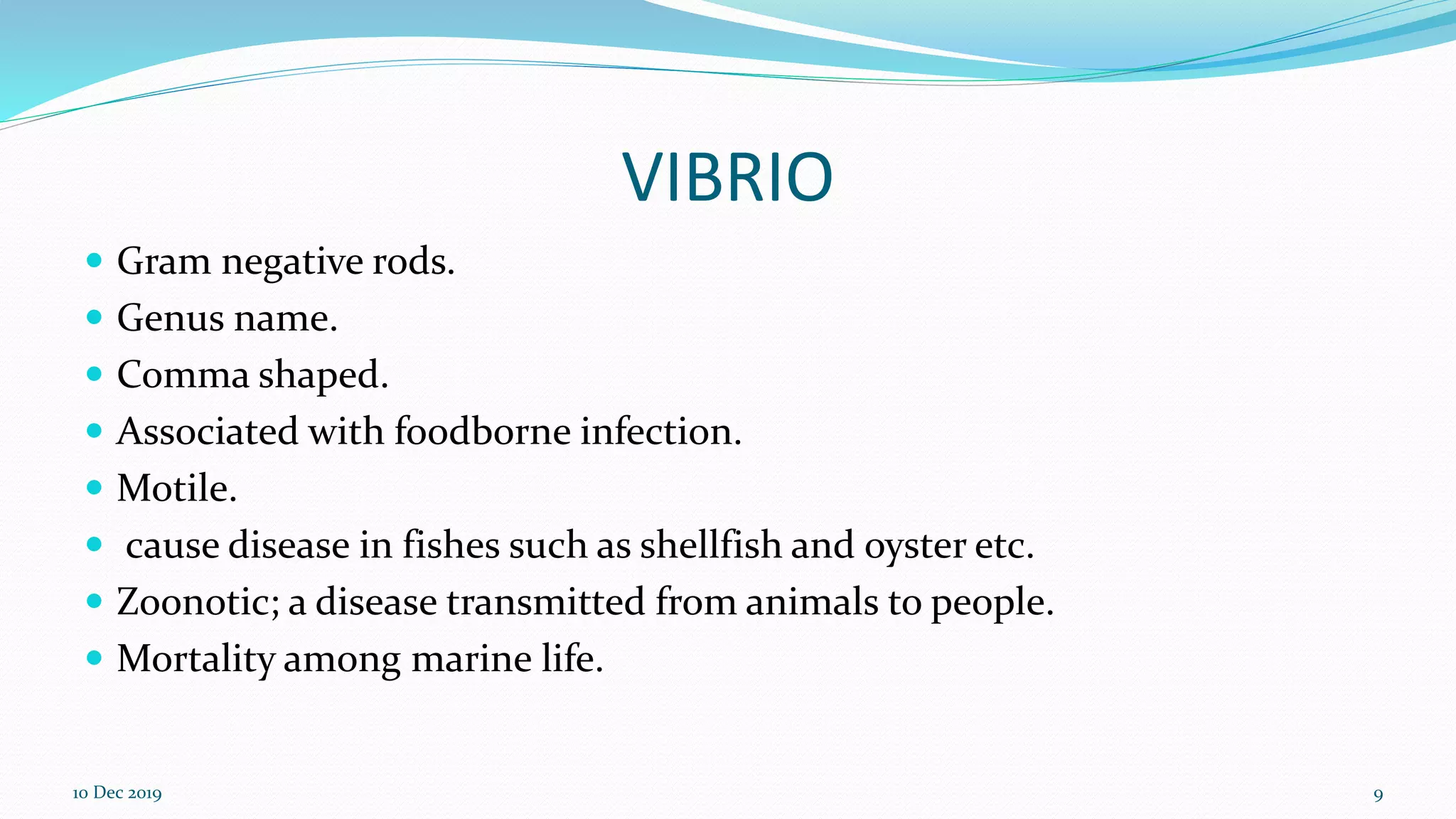 Shigella and vibrio bacteria | PPTX