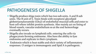 Shigella and vibrio bacteria | PPTX