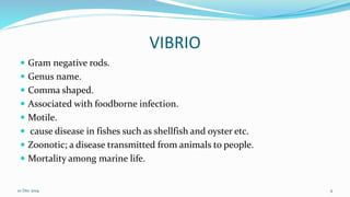 Shigella and vibrio bacteria | PPTX