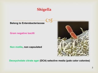 Shigella | PPT