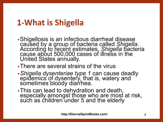 Shigella: How to Stay Safe | PPTX
