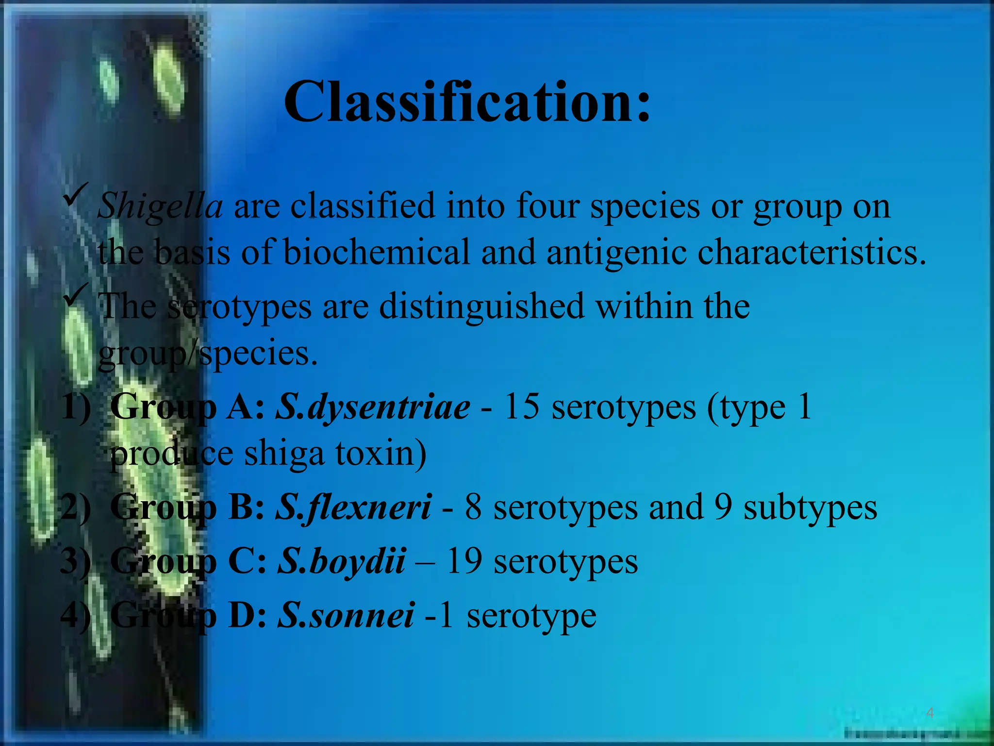 Shigella dysentriae | Medical Bacteriology.pptx. | PPTX