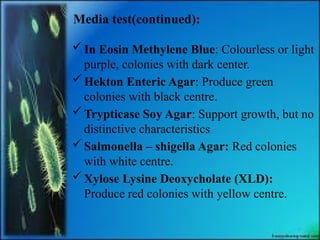 Shigella dysentriae | Medical Bacteriology.pptx. | PPTX