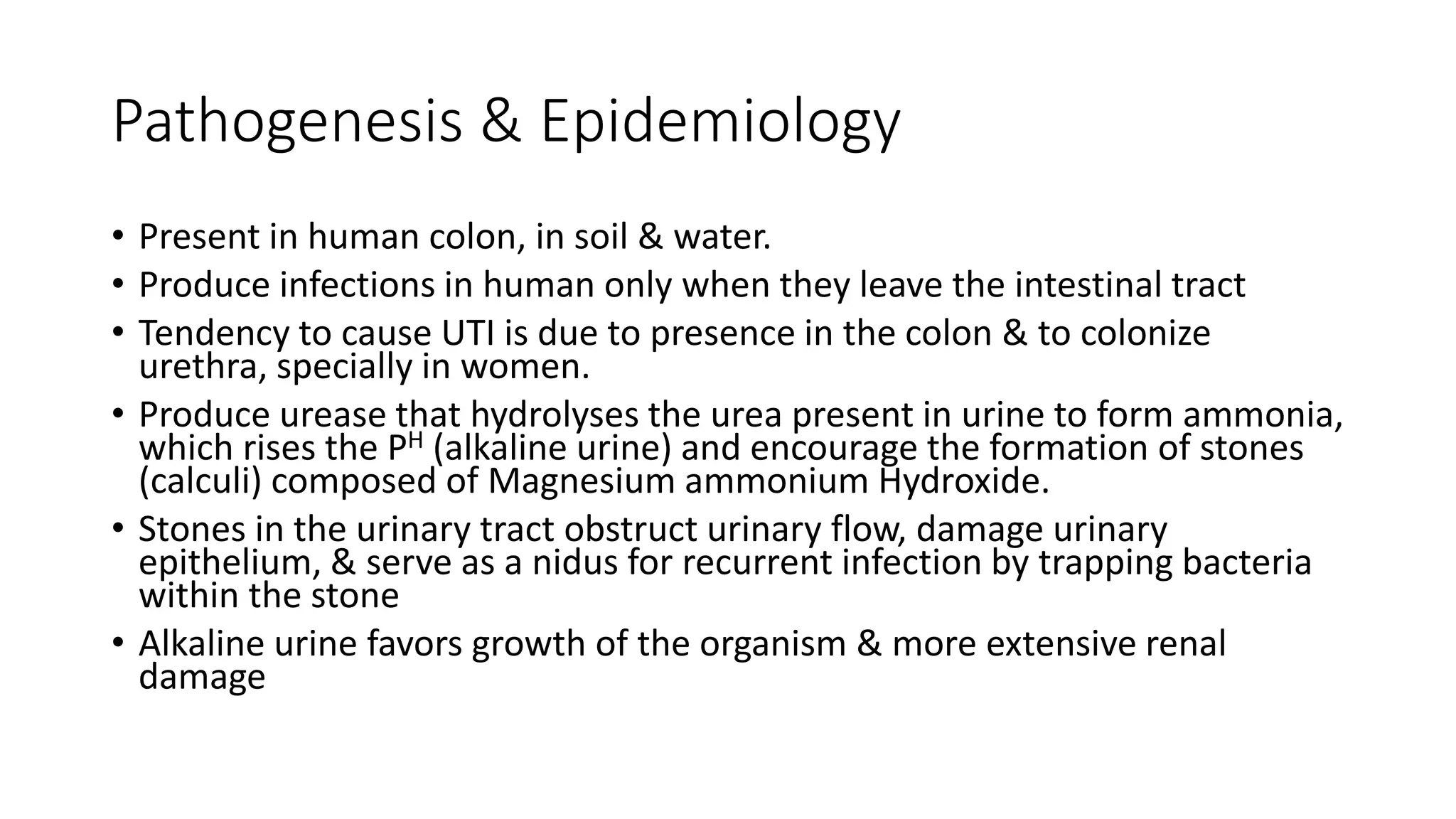 SHIGELLA, KLEBSIELLA, PROTEUS, PSEUDOMONAS.pptx
