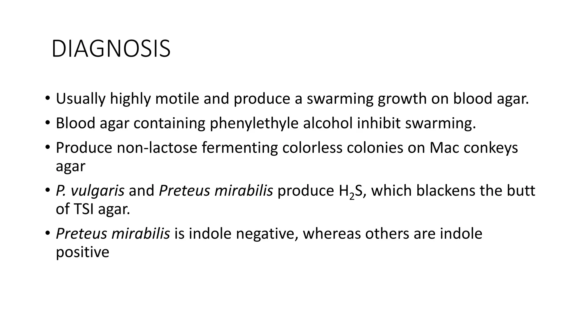 SHIGELLA, KLEBSIELLA, PROTEUS, PSEUDOMONAS.pptx