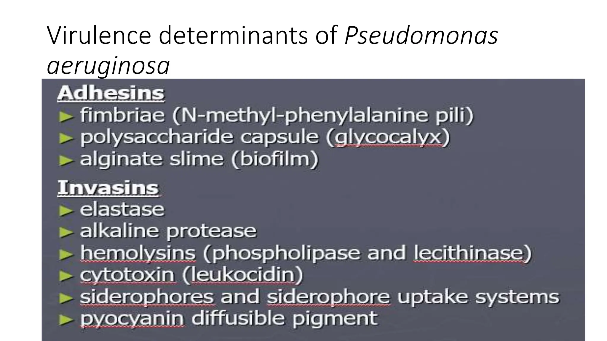 Shigella Klebsiella Proteus Pseudomonas Pptx