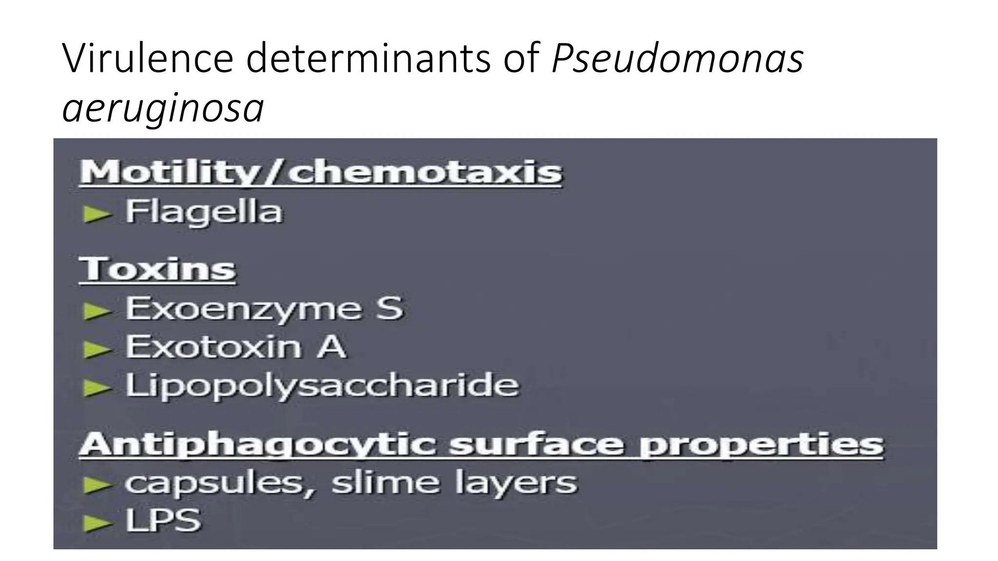 Shigella Klebsiella Proteus Pseudomonas Pptx