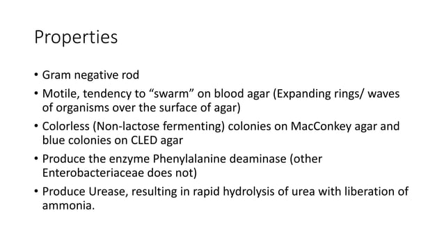 SHIGELLA, KLEBSIELLA, PROTEUS, PSEUDOMONAS.pptx