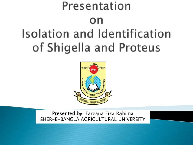 Shigella & proteus.pptx