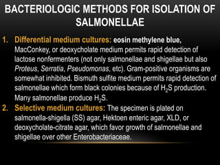 Shigella & salmonella | PPTX