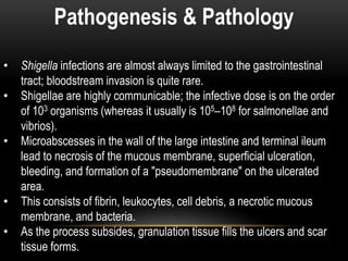 Shigella & salmonella | PPTX