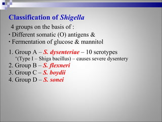 Shigella, salmonella & yersinia | PPT
