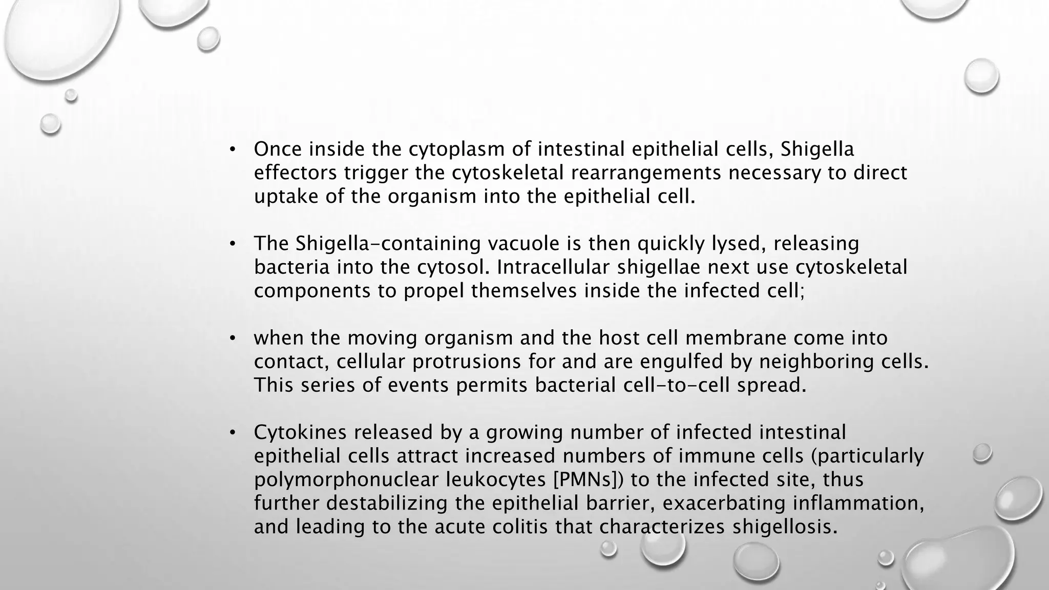 shigellosis by Fareedah Muheeb.pptx