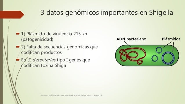 Resumen Shigelosis Epidemiología Cuadro Clínico Dx y Tratamiento