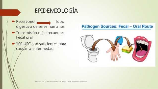 Resumen Shigelosis Epidemiología Cuadro Clínico Dx y Tratamiento
