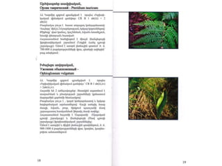 "Շիկահող" պետական արգելոցի կենսաբազմազանությունը | PPTX