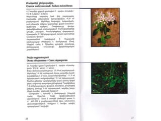 "Շիկահող" պետական արգելոցի կենսաբազմազանությունը | PPTX